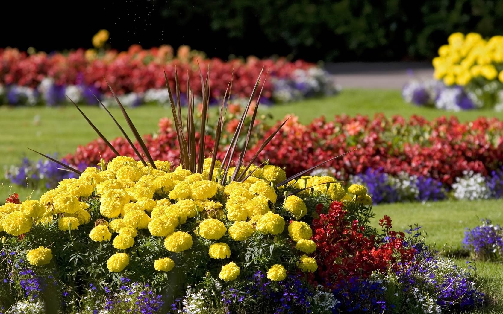 Ten Garden Landscaping Tips to Counter Climate Change