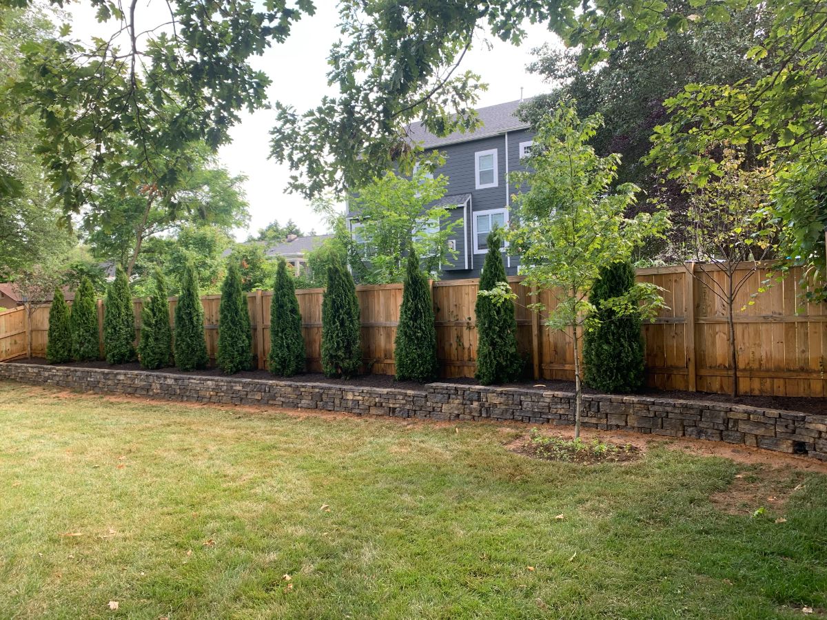 Before & After – Landscaping - Northern Virginia Landscaping